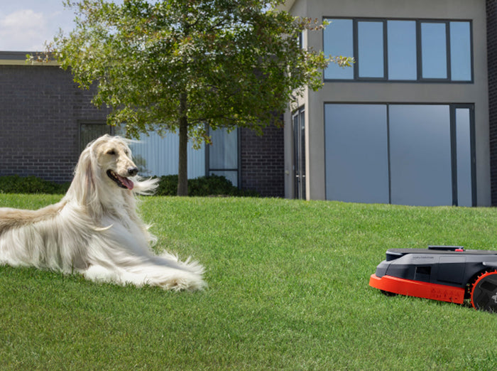 VisionFence Technology: The Vision and AI-Driven Innovation of Intelli ...